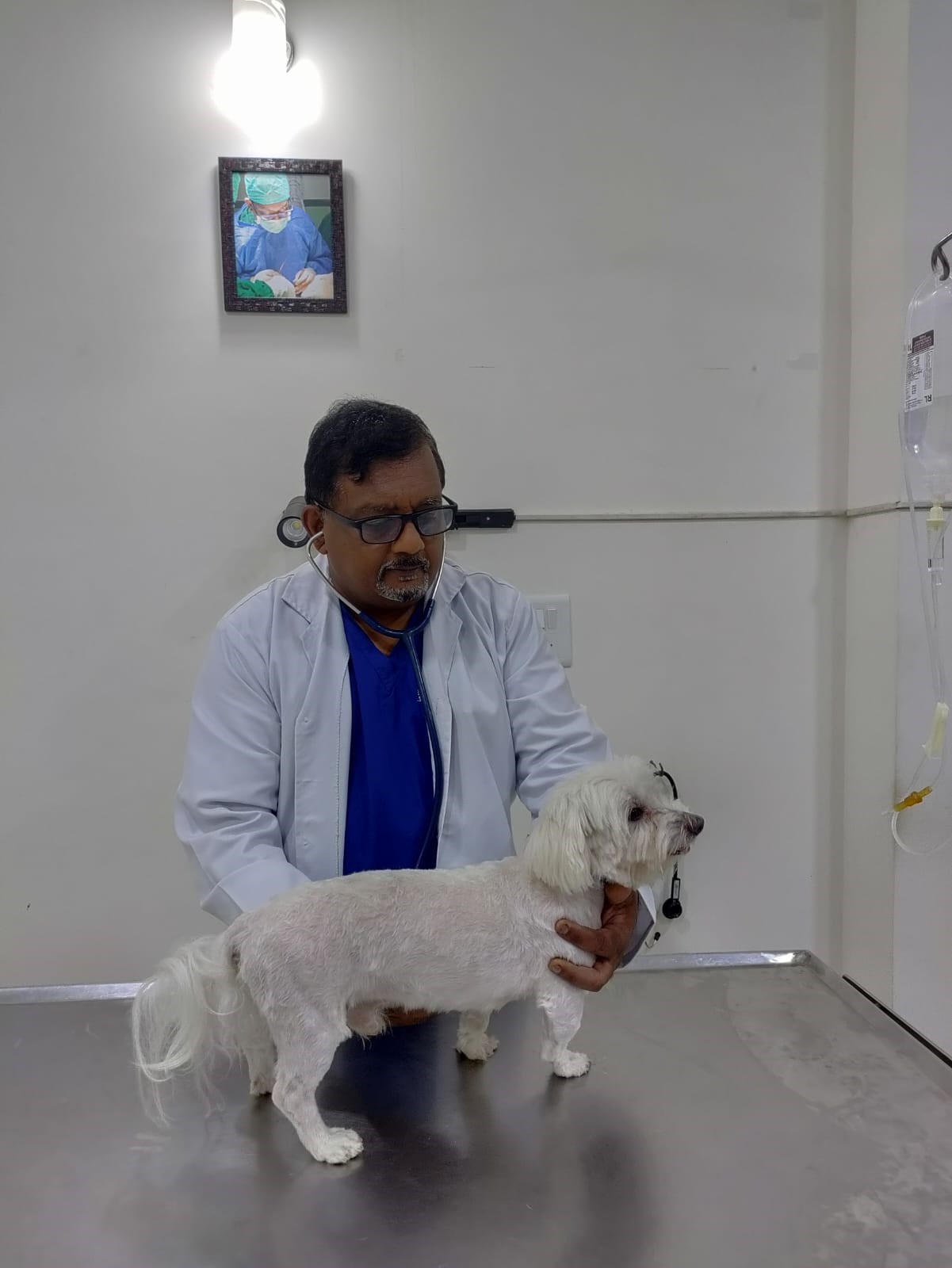 General Health Care – Animal Medical & Surgical Centre