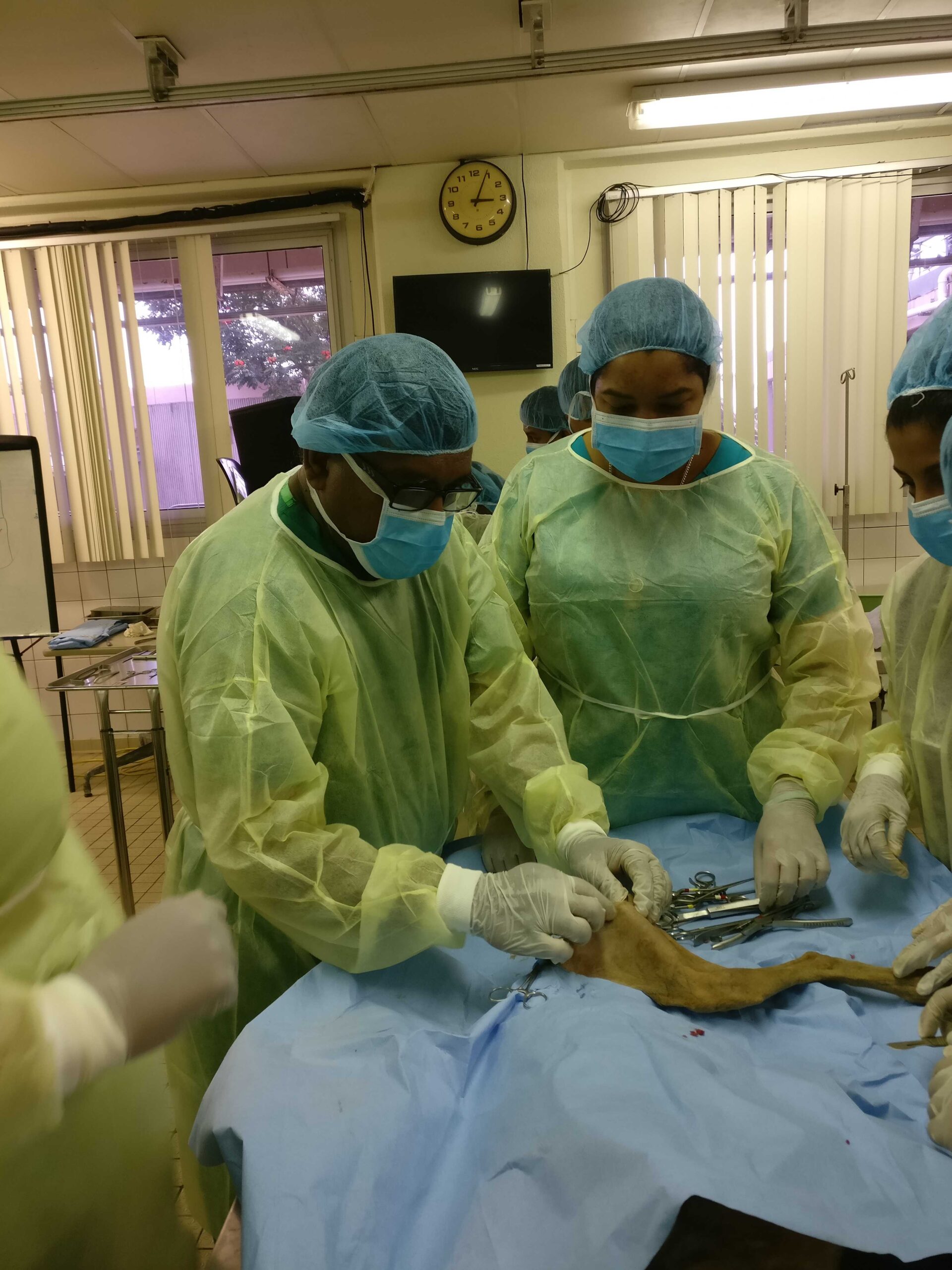Awards & Trainings – Animal Medical & Surgical Centre